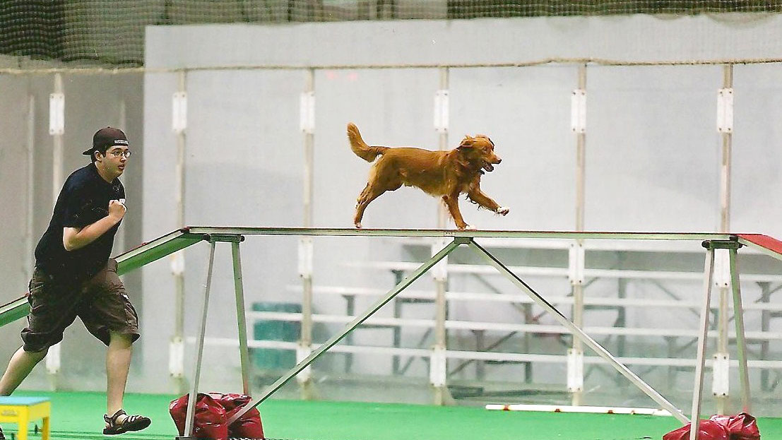 Classes • Breakaway Action Dogs